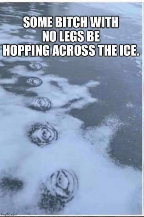 Snail Trail Memes Immortal Snail | Know Your Meme