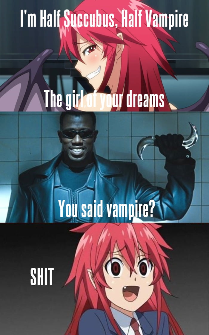 The crossover nobody asked for - RIP Mari Setogaya, a half vampire ...