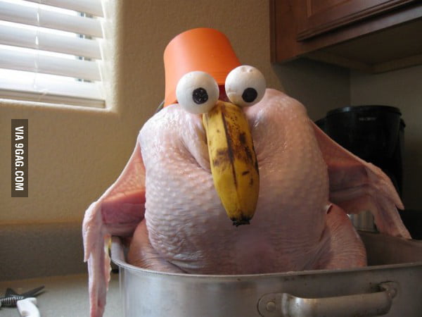 Derpy Turkey - 9GAG