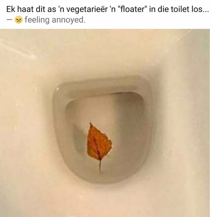 Don’t you just hate it when your vegan friend leaves a floater in the ...
