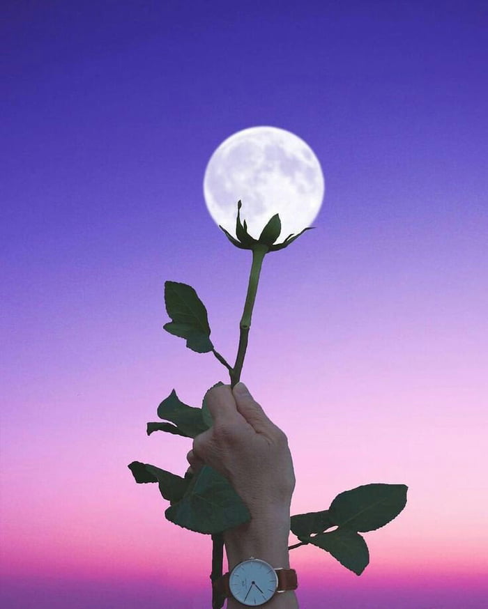 Flower moon. - 9GAG