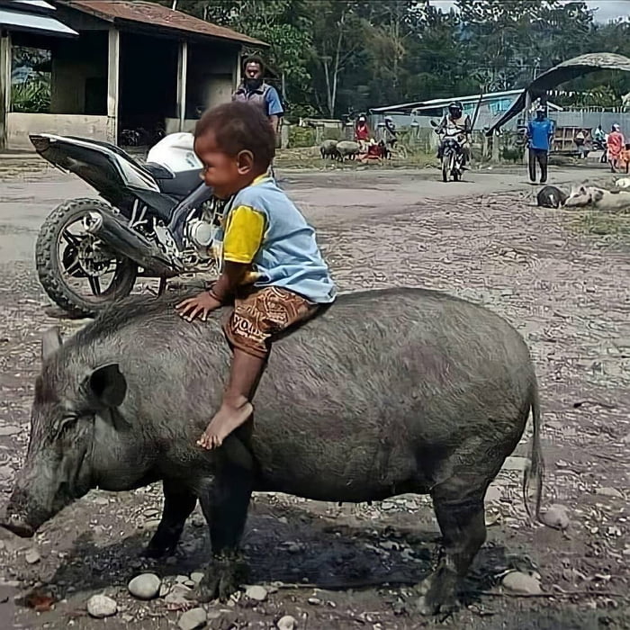 Hog rider - 9GAG