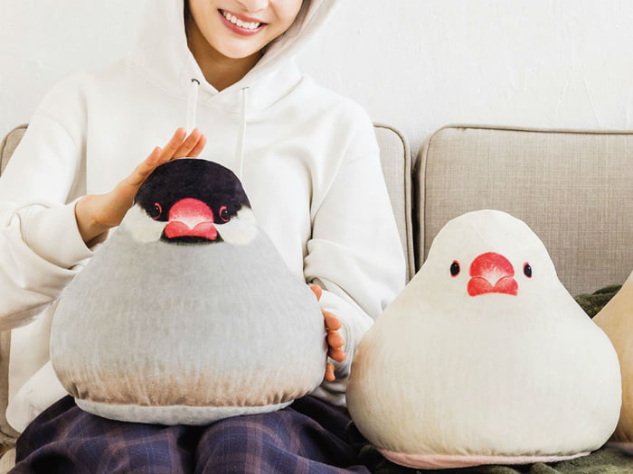 This Fluffy Java Sparrow Plushie Is Here To Warm You Up - 9GAG