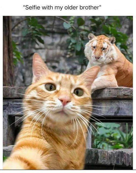 Best Funny selfie Memes - 9GAG