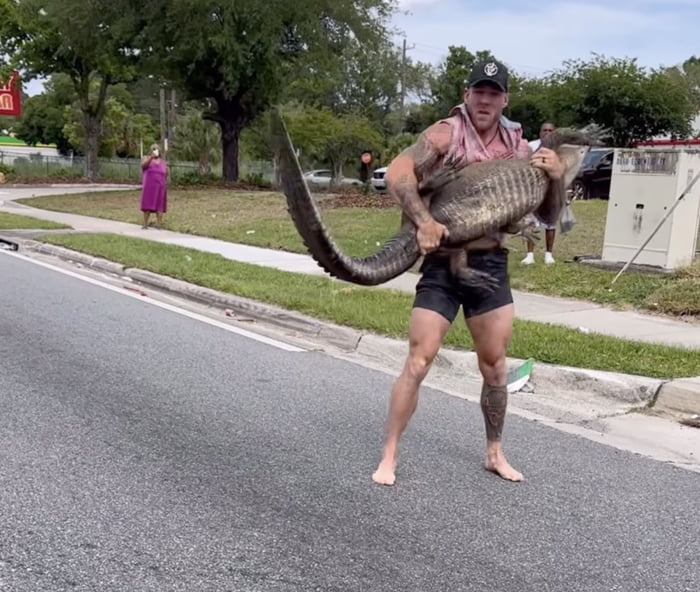 Florida MMA Fighter Captures 2.4-Meter Alligator With Bare Hands And ...
