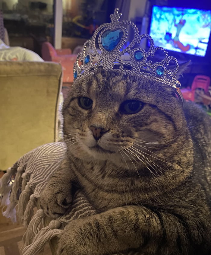 All hail King Nelson - 9GAG