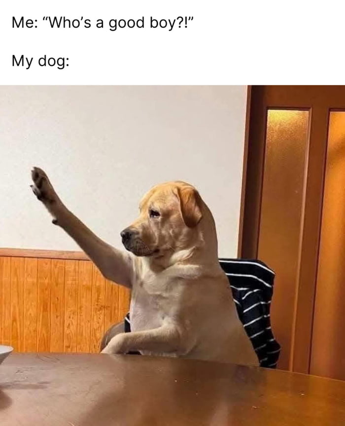 Me, definitely me - 9GAG