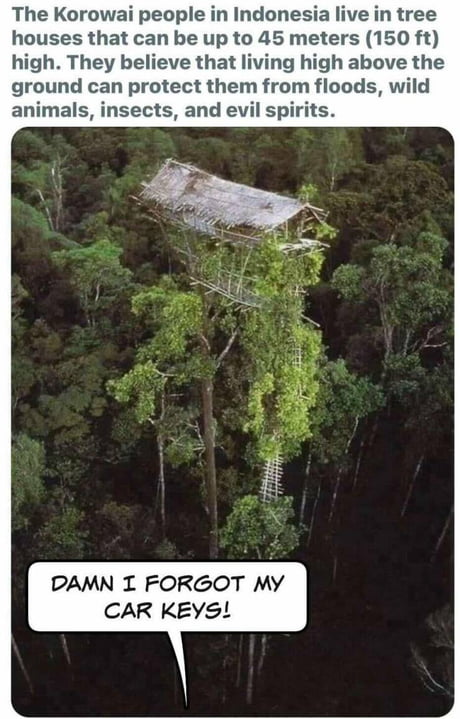 Tree House Memes