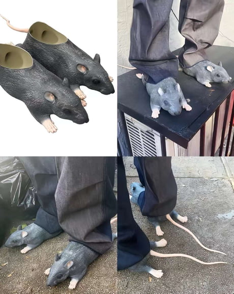 Best Funny rat Memes - 9GAG