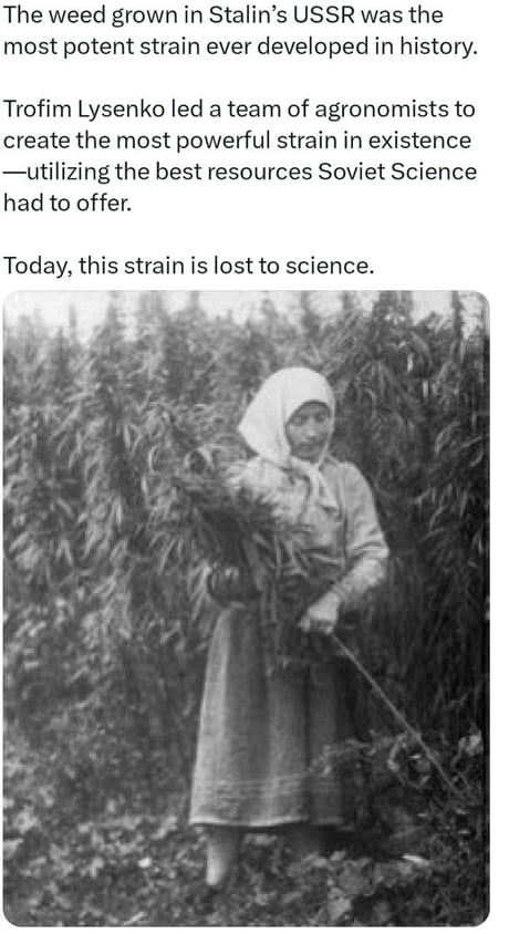 Best Funny ussr Memes - 9GAG