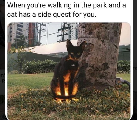 Best Funny quest Memes - 9GAG