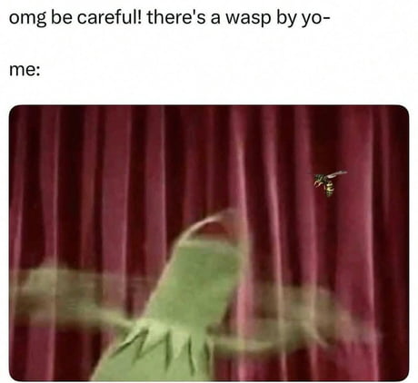 Best Funny wasp Memes - 9GAG