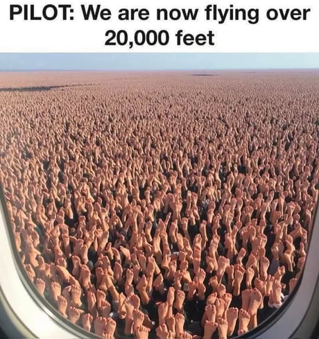 Best Funny fly Memes - 9GAG