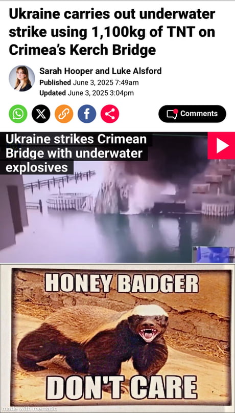 Honey Badger Internet Memes