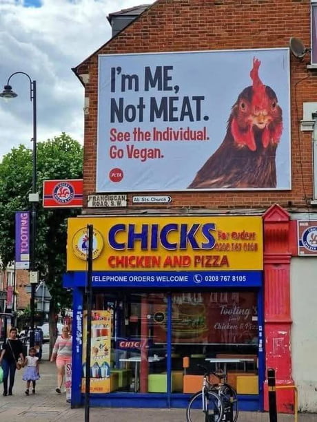 Best Funny peta Memes - 9GAG