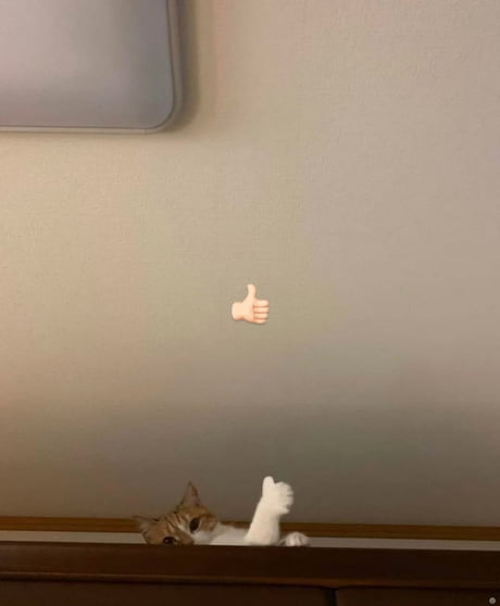 Best Funny emoji Memes - 9GAG