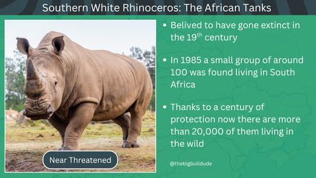 Oblivious Rhino Memes Fire Atronach Oblivion | TikTok