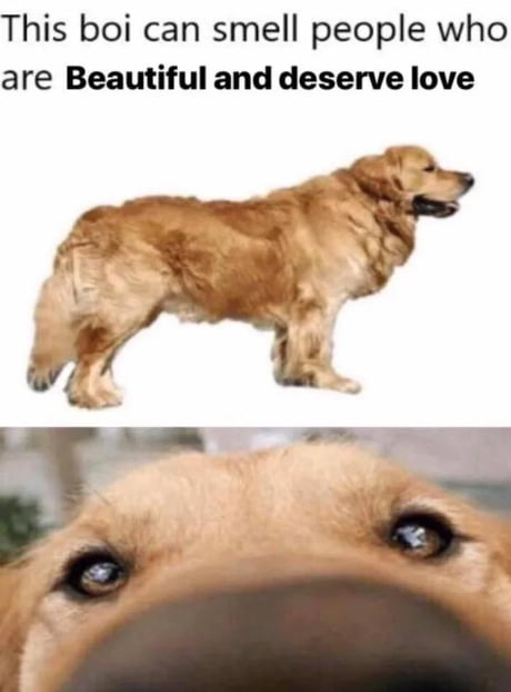 Best Funny oddly satisfying Memes - 9GAG