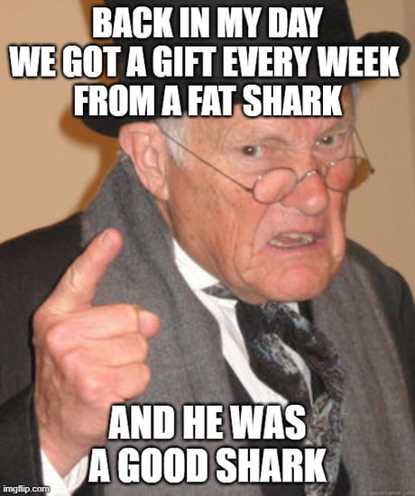 Best Funny terry the fat shark Memes - 9GAG