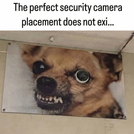 Best Funny camera Memes - 9GAG