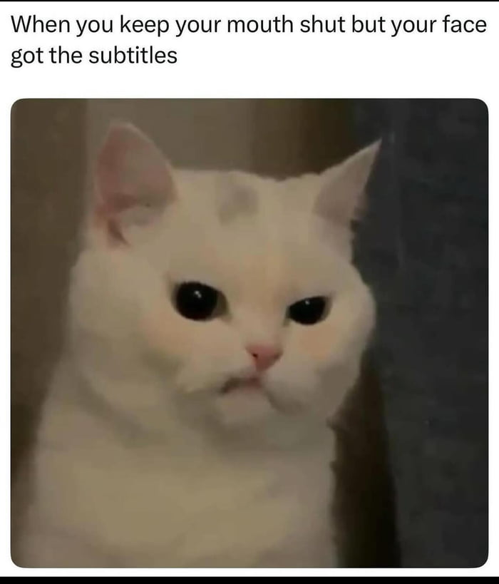 When your face says it all without you having to utter a single word - 9GAG