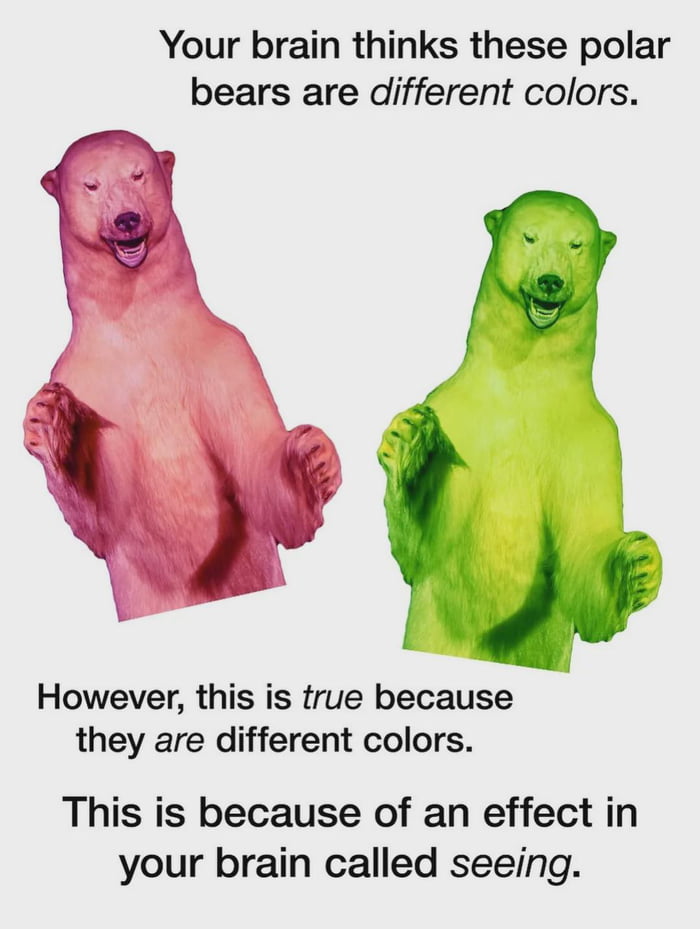 Your brain thinks these polar bears are different colors. However, this is true because they are ...