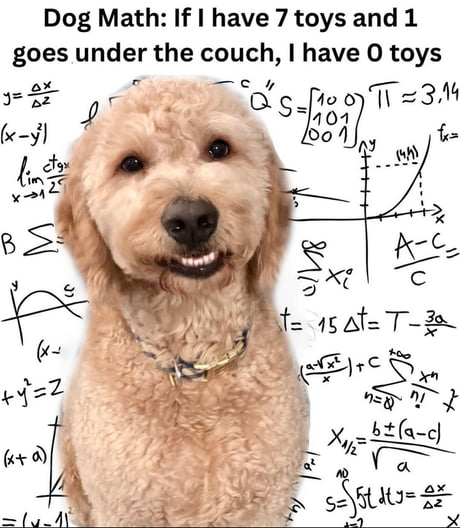 Best Funny dog math Memes - 9GAG