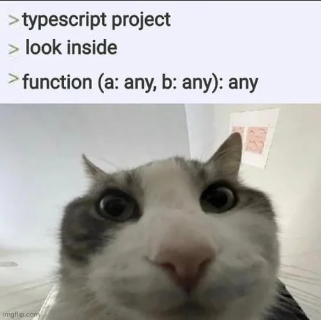 Best Funny javascript Memes - 9GAG