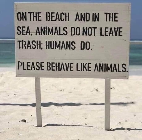 Best Funny beach Memes - 9GAG