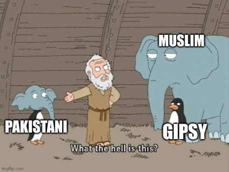 Best Funny gypsy Memes - 9GAG