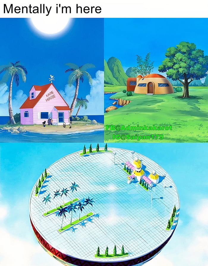 I'd love to train on the look out and then relax at Muten Roshi's house ...