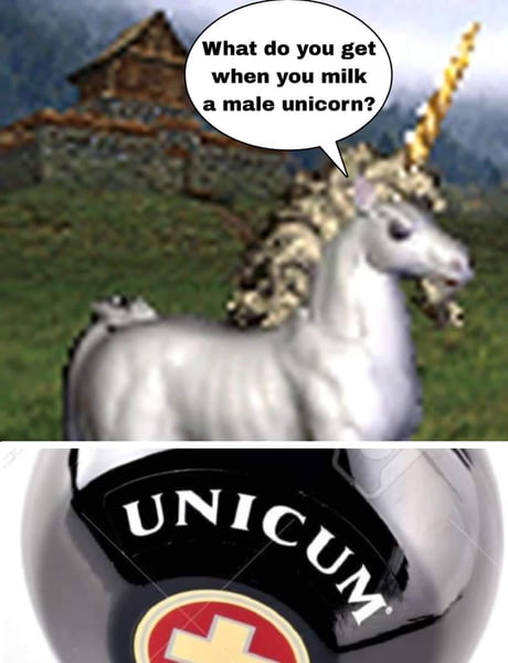 Funny Unicorn Memes