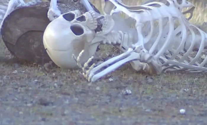 Skeletons In Sexual Positions Across From School Sparks Outrage From ...