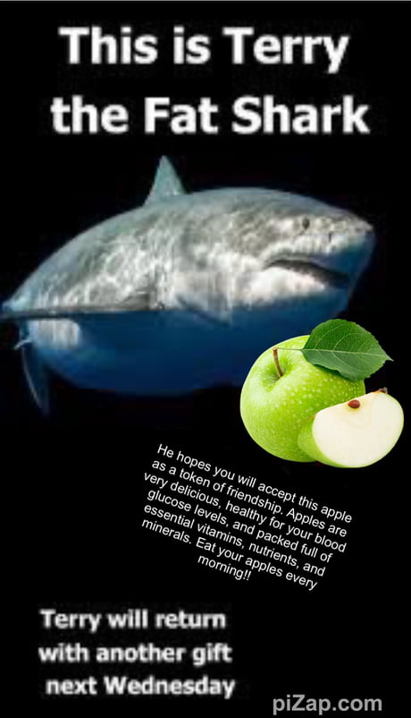Best Funny terry the fat shark Memes - 9GAG