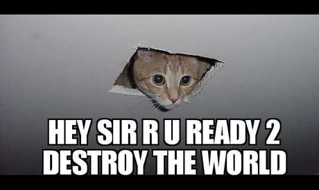 Stalker Cat Memes Stalker | Page 2 | PCSPECIALIST