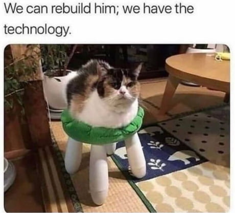 Tank Cat Memes Funny Cat Moments That Will Make You Smile