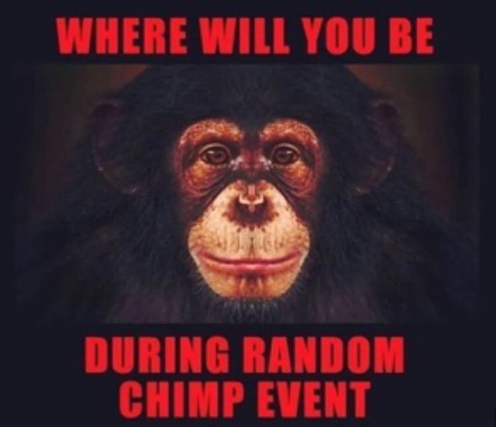 Random Chimp Event Happening in Animals - 9GAG