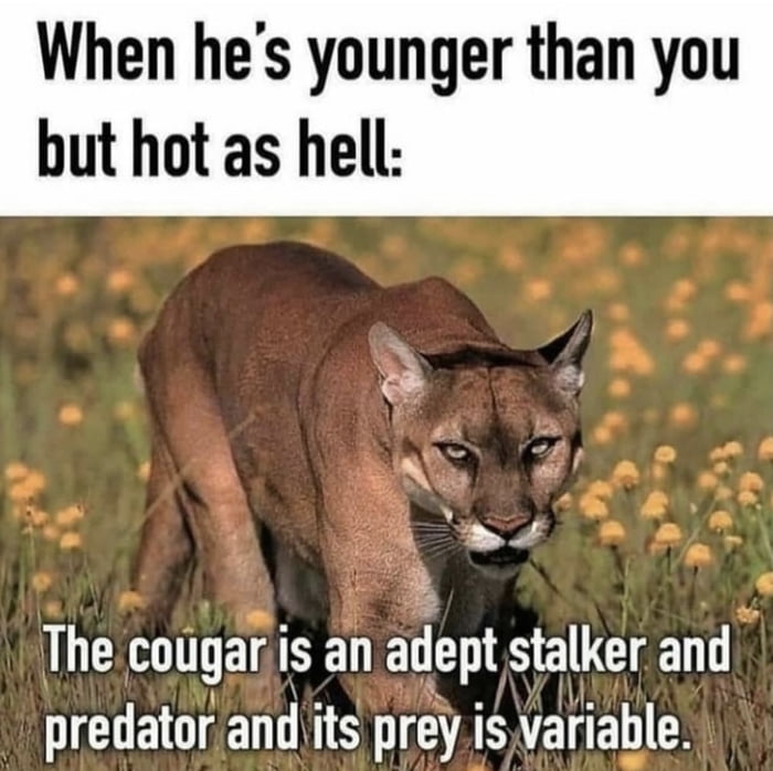 Is the “cougar” a thing still, you think? - 9GAG