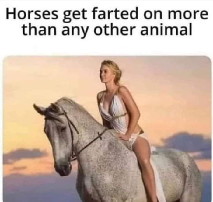 Do farts from the front butt also count? - 9GAG