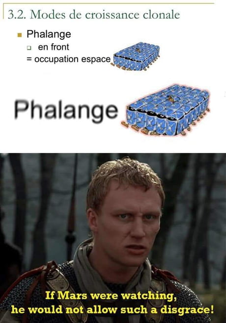 Phalange Memes
