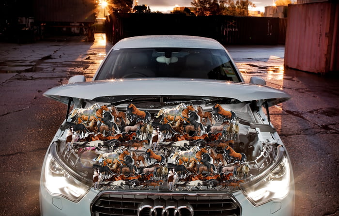 Car with 200 horses under the hood - 9GAG