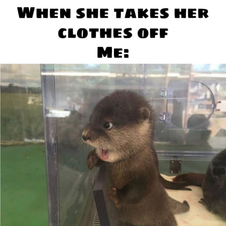 Master Bates's Instagram, Twitter & Facebook on IDCrawl