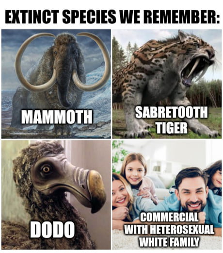 Best Funny mammoth Memes - 9GAG