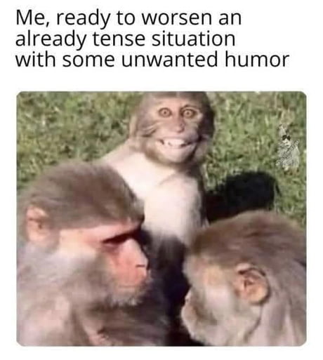 Best Funny monkey Memes - 9GAG