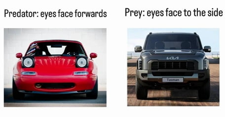 Miata Car Memes