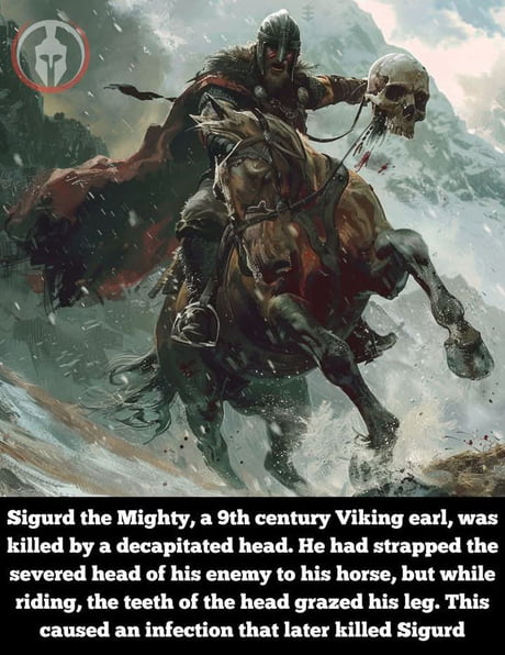 Vikings Memes