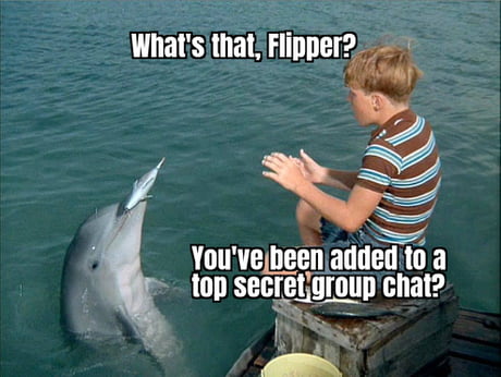 Best Funny hegseth Memes - 9GAG