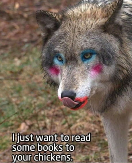 Funny Werewolf Memes