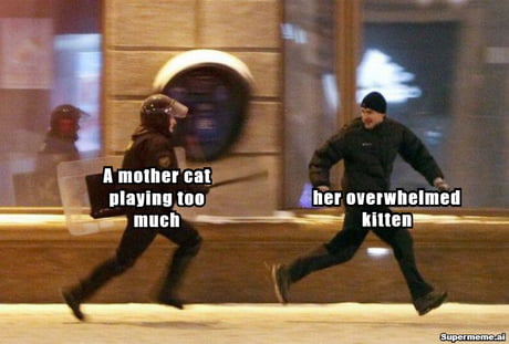 Best Funny mouse Memes - 9GAG