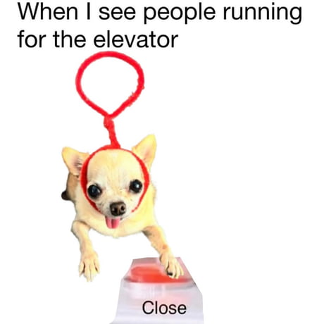 Best Funny close call Memes - 9GAG